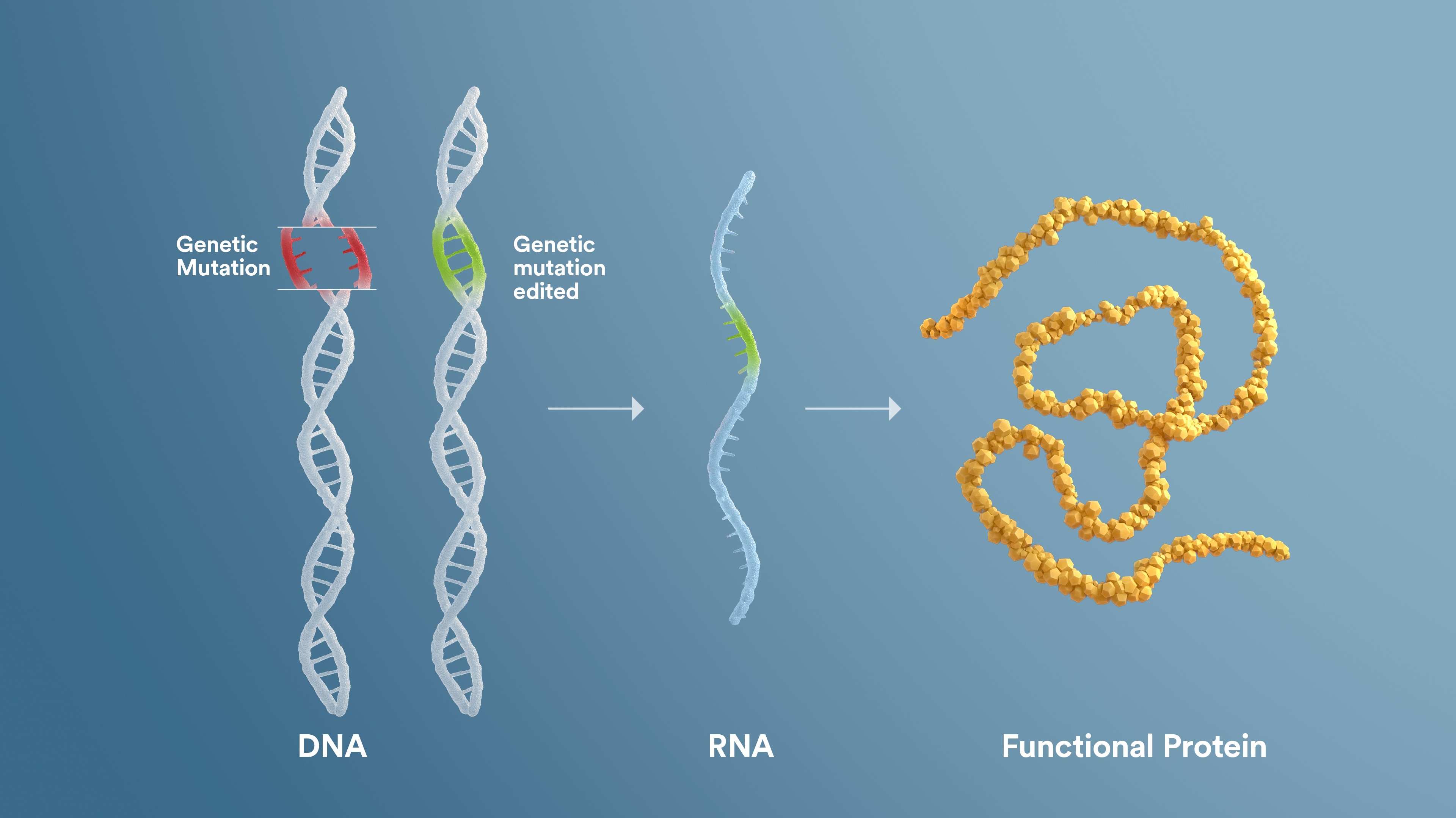 Gene Editing Research | Sarepta Therapeutics